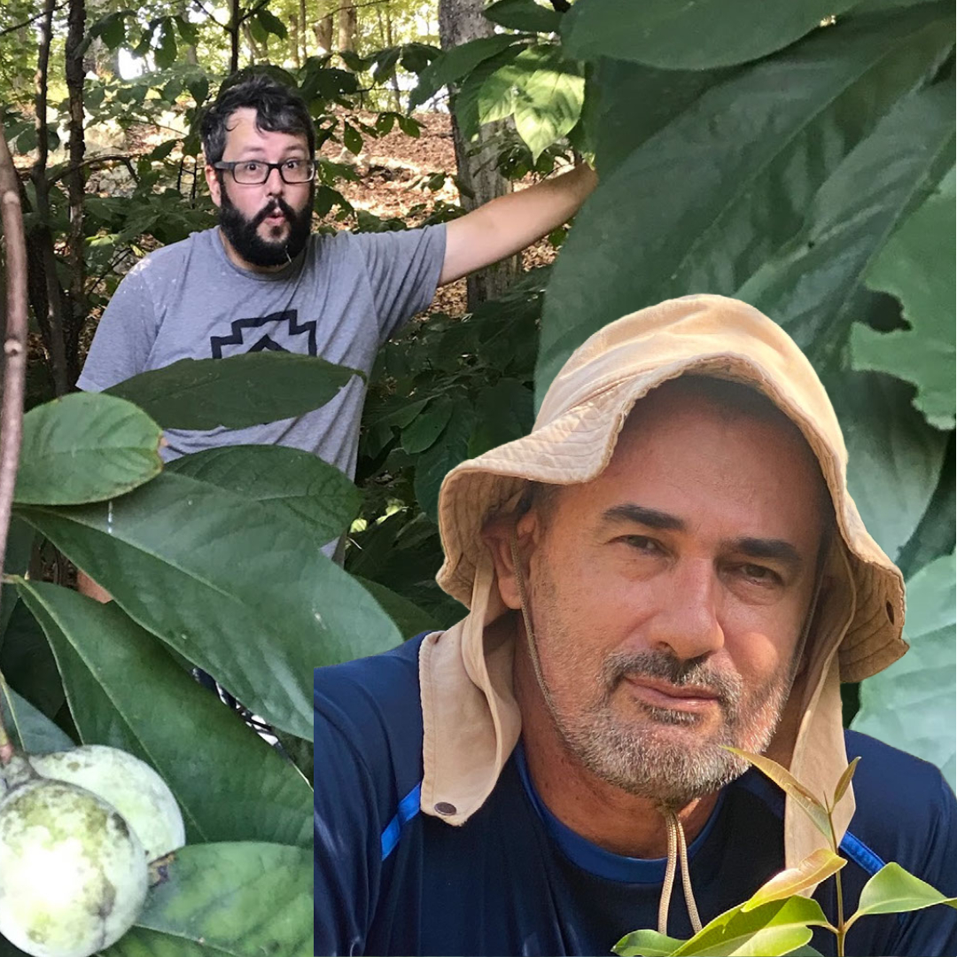 #15 Chances of Biodynamics and Agroforestry