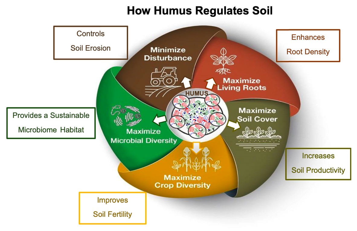 How humus influences our soil climate