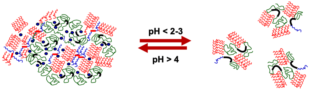 Wie Humus unser Bodenklima beeinflusst