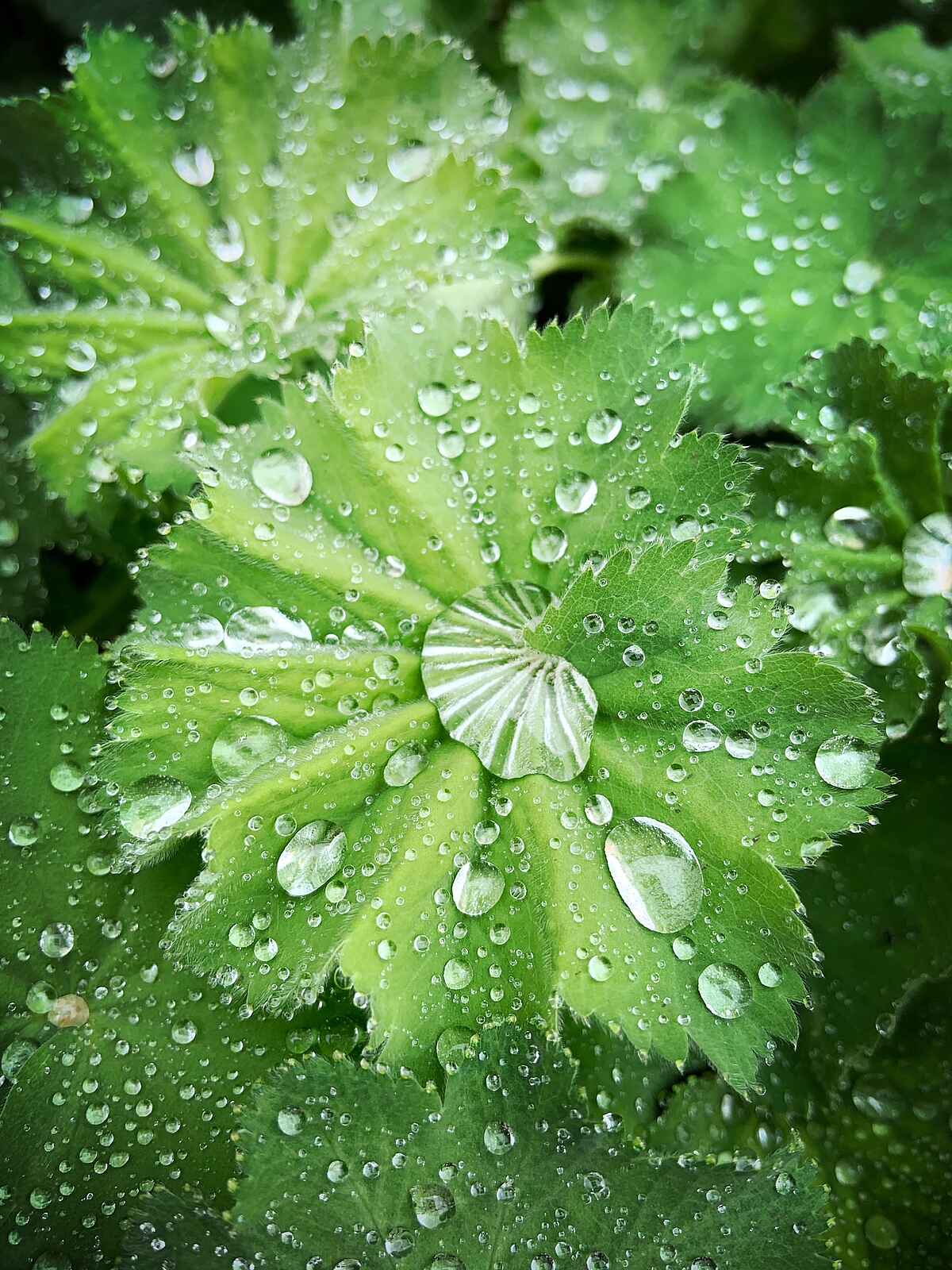 «Wasser verstehen lernen heißt, Leben zu schützen»