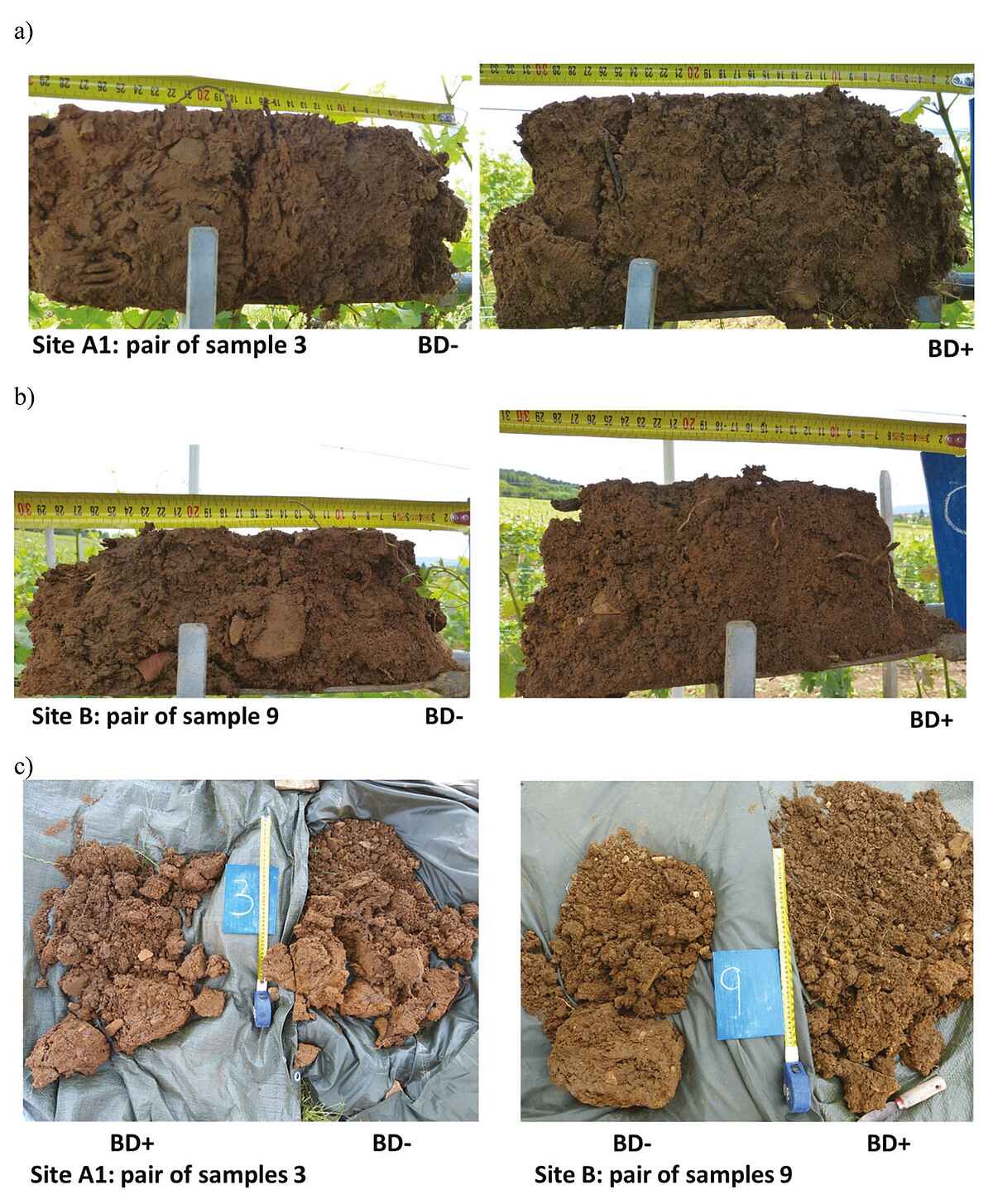 Biodynamic farming significantly leads to better soil agregate ...