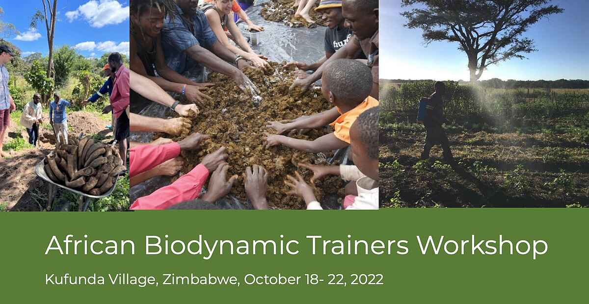 African biodynamic trainers workshop 2022