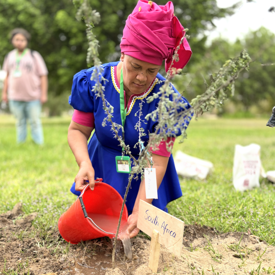 "Indigenous cultures help us rediscover what life is"